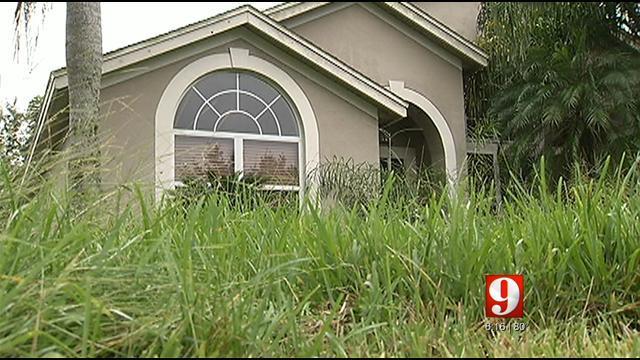 Overgrown Front Yard