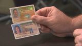 9 Investigates realistic fake IDs sold online | WFTV