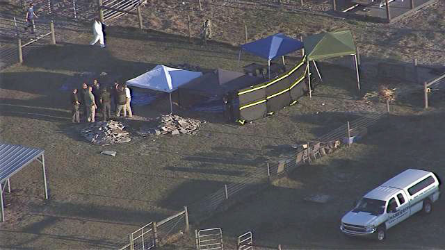 Clermont: Michael Shaver; missing man search | WFTV | WFTV